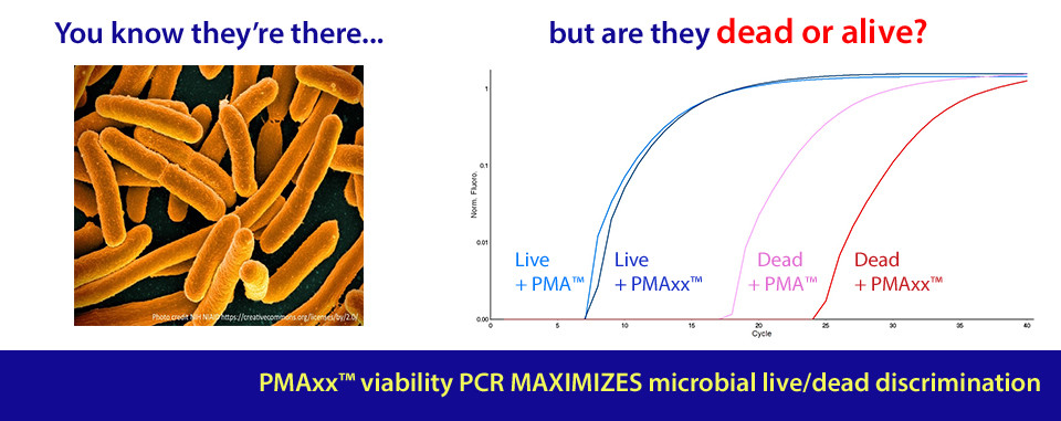 Biotium - Glowing Products for Science