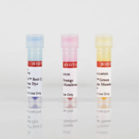 CellBrite® Cytoplasmic Membrane Dyes - Biotium