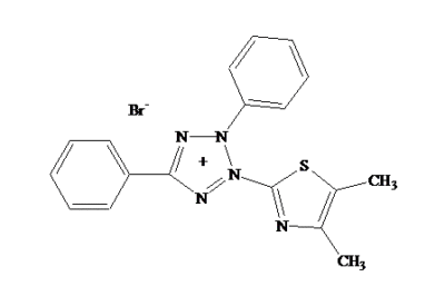 MTT Cell Viability Assay Kit | Biotium