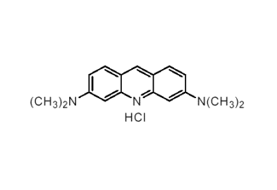 Acridine Orange, 10 mg/mL in water (high purity) (AO) | Biotium