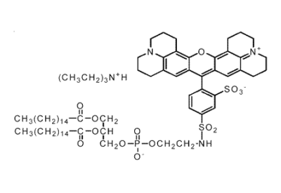 Texas Red-DHPE | Biotium