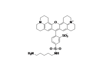Sulforhodamine 101 (Texas Red) cadaverine | Biotium