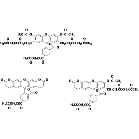 BCECF, AM Ester | Biotium