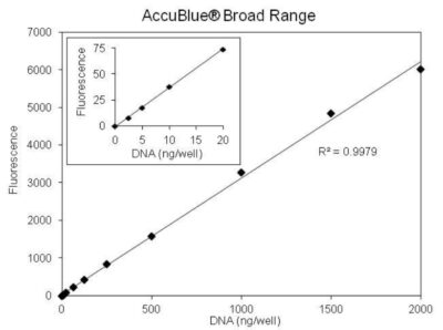 DNA & RNA Quantitation Kits | Biotium, Inc.