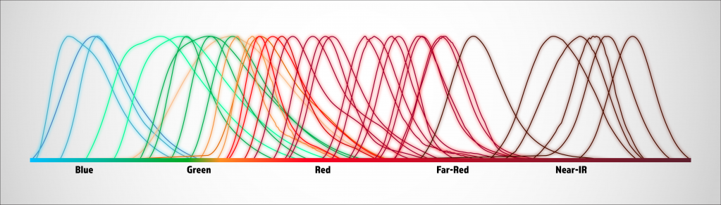 Flow Cytometry Reagents - Biotium