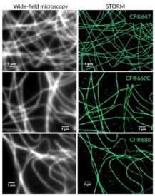 Mix-n-Stain™ STORM CF® Dye Antibody Labeling Kits - Biotium