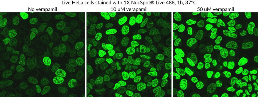 NucSpot® Live Cell Nuclear Stains - Biotium
