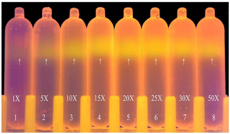 Safer, more sensitive DNA dye for CsCl gradients - Biotium