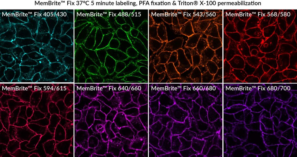 Super-Resolution Microscopy - Biotium
