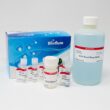 AccuBlue® Broad Range RNA Quantitation Kit - Biotium
