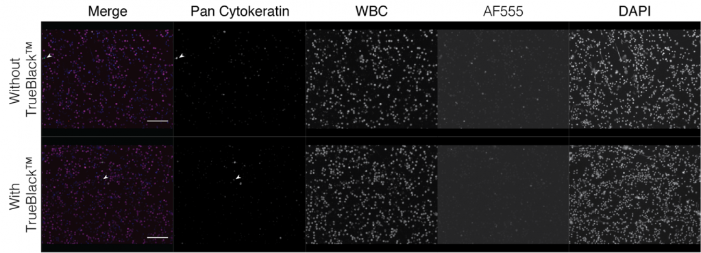 TrueBlack® Background Reducers - Biotium