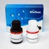 DAB Substrate Kit - Biotium
