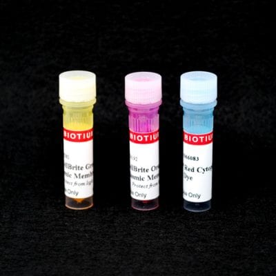 CellBrite® Cytoplasmic Membrane Dyes | Biotium