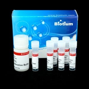 TUNEL Assay Apoptosis Detection Kit - Biotium