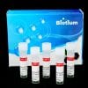 Fast Plus EvaGreen® qPCR Master Mix - Biotium