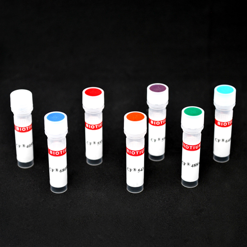 Cyanine Dye Alkyne | Biotium