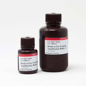 Ready-to-Use Tyramide Amplification Buffer, 1X - Biotium