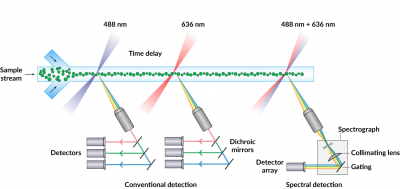 Spectral Flow Cytometry - Biotium