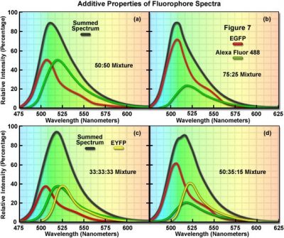 Getting the Whole Picture with Spectral Flow Cytometry - Biotium