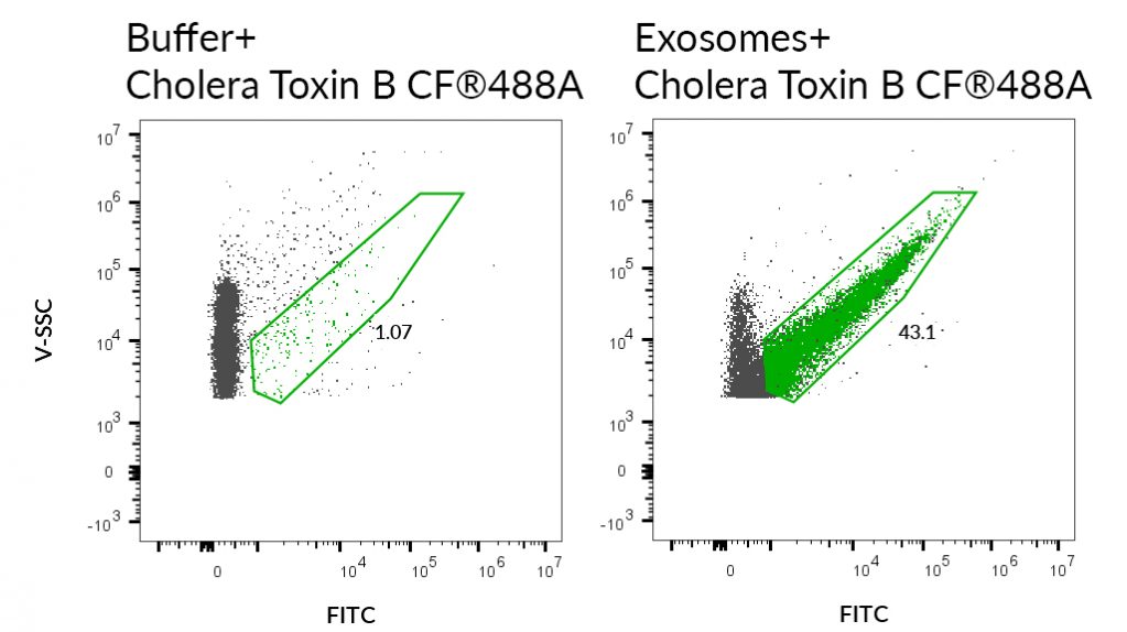 Cholera Toxin Subunit B CF® Dye Conjugates | Biotium