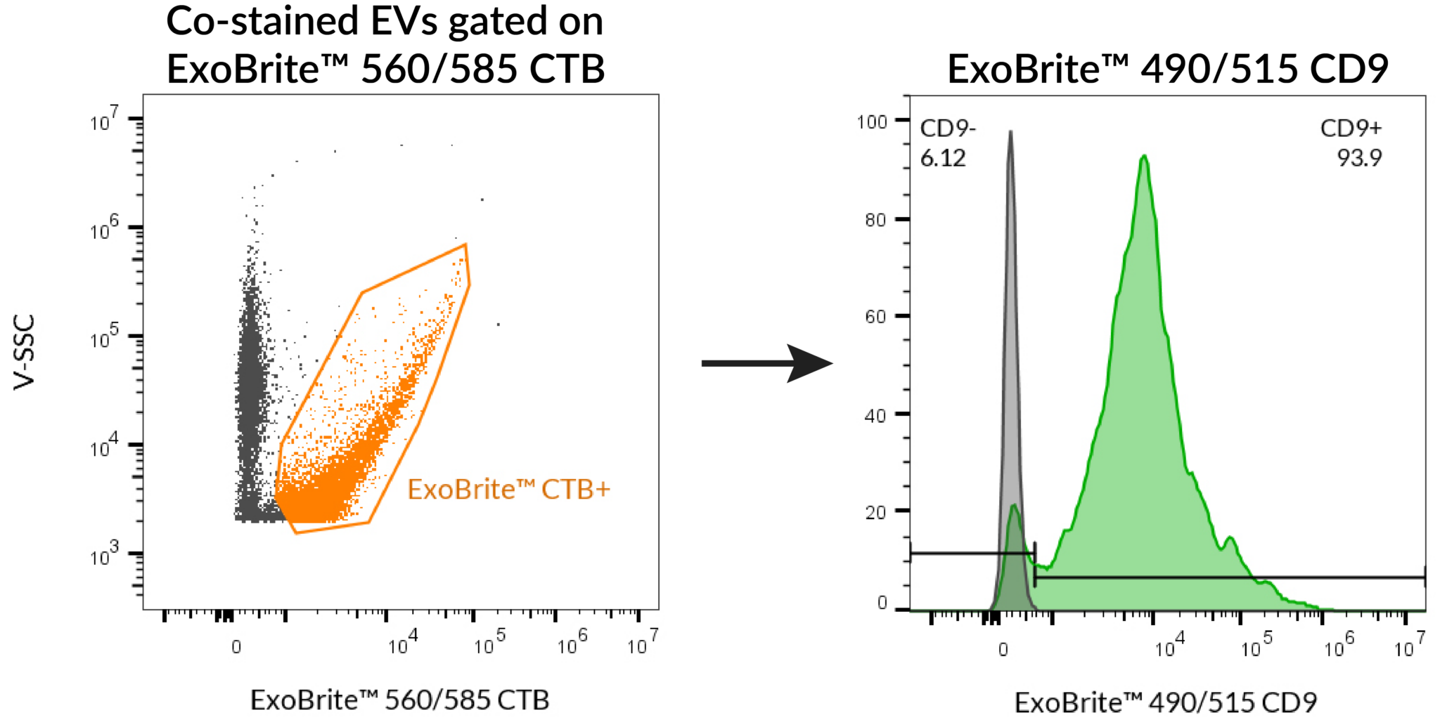 ExoBrite™ CTB EV Staining Kits - Biotium
