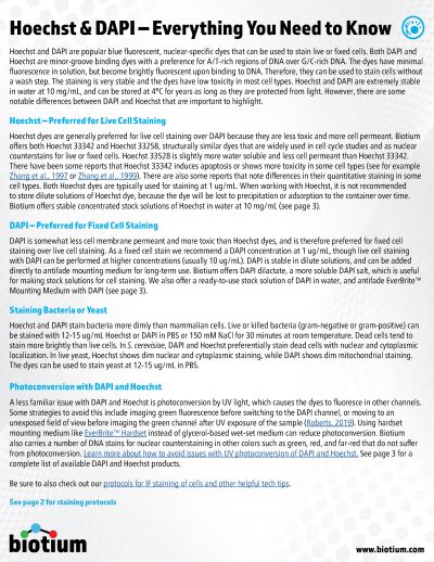 Tech Tip: Staining Cells with Hoechst or DAPI Nuclear Stains - Biotium