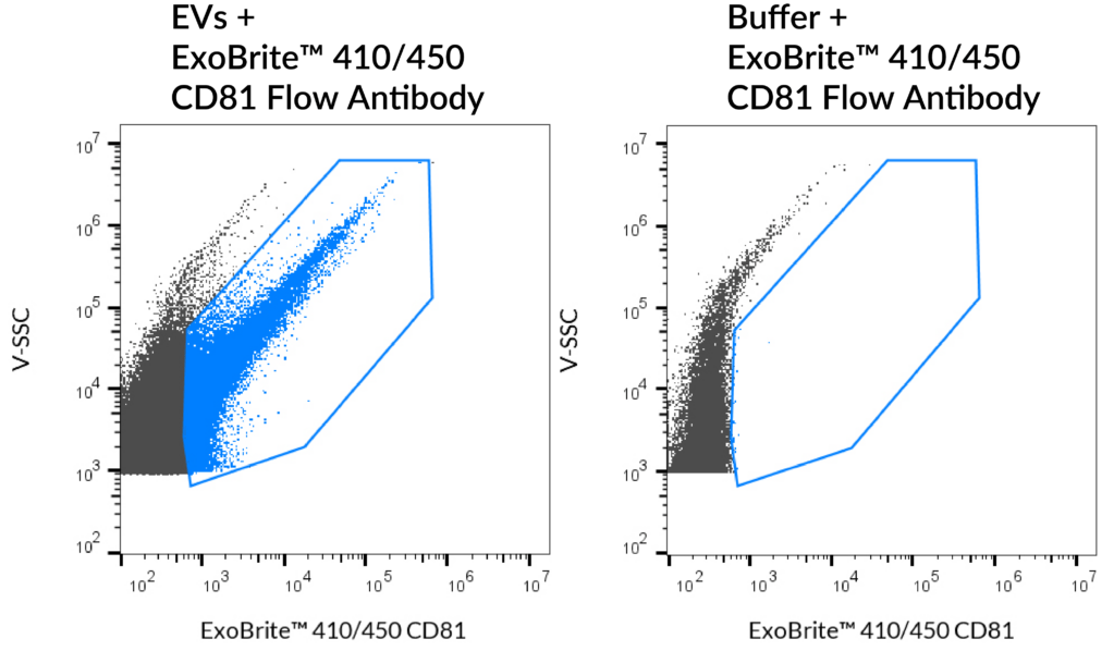 ExoBrite™ CD81 Flow Antibody - Biotium