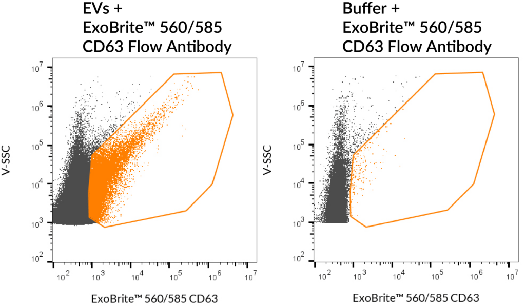 ExoBrite™ CD63 Flow Antibody - Biotium