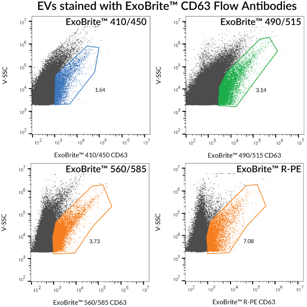 ExoBrite™ CD63 Flow Antibody - Biotium