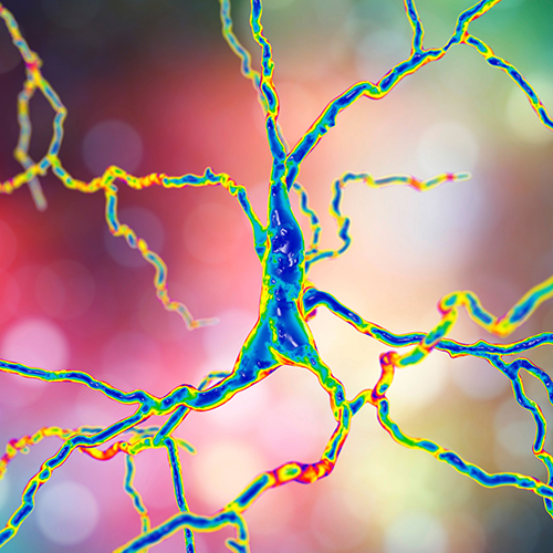 TrueBlack® Lipofuscin Autofluorescence Quencher is the preferred ...