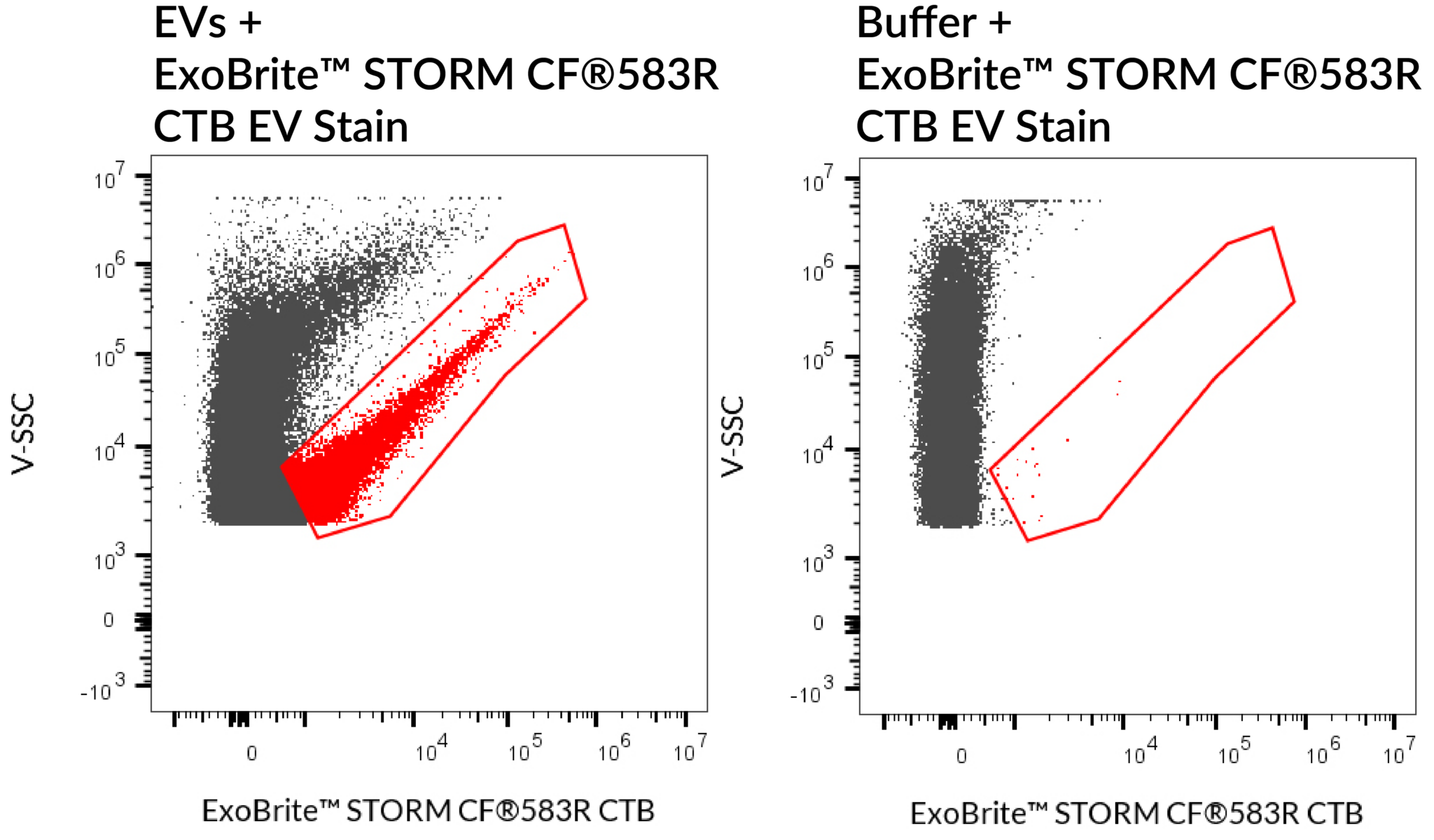 ExoBrite™ STORM CTB EV Staining Kits - Biotium