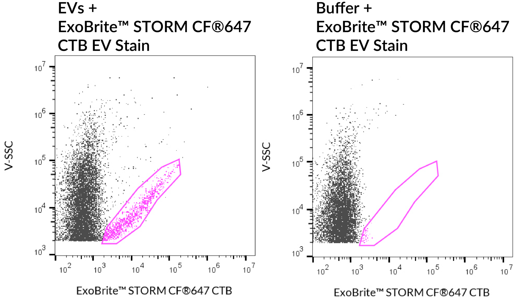 ExoBrite™ STORM CTB EV Staining Kits - Biotium