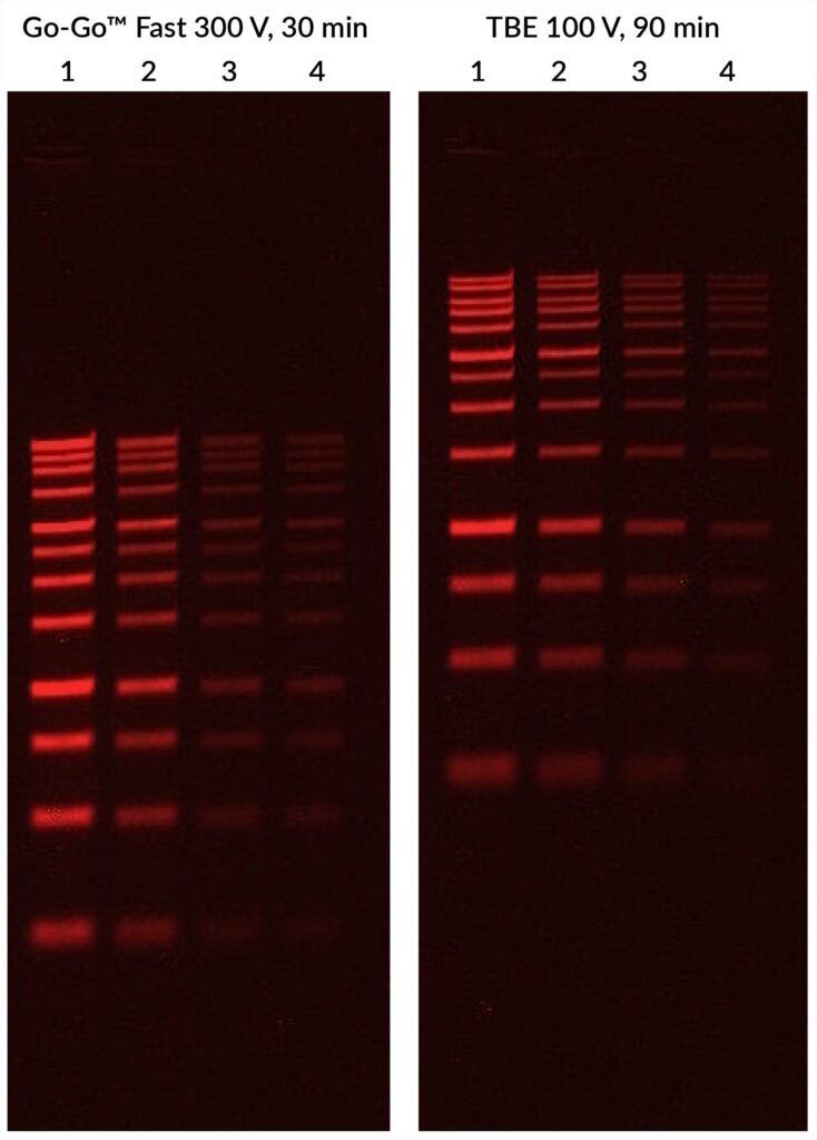 Go-Go™ Fast DNA Gel Running Buffer, 50X - Biotium