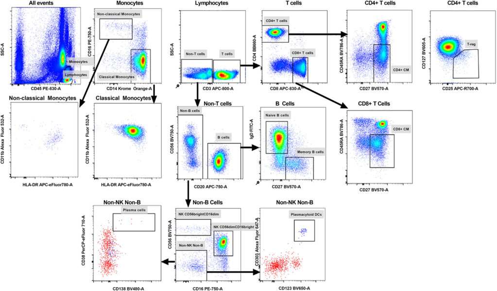 Development of novel PE and APC near-infrared tandem fluorochromes for ...