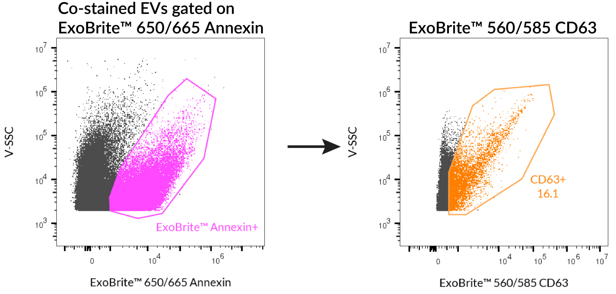 ExoBrite™ Annexin EV Staining Kits - Biotium