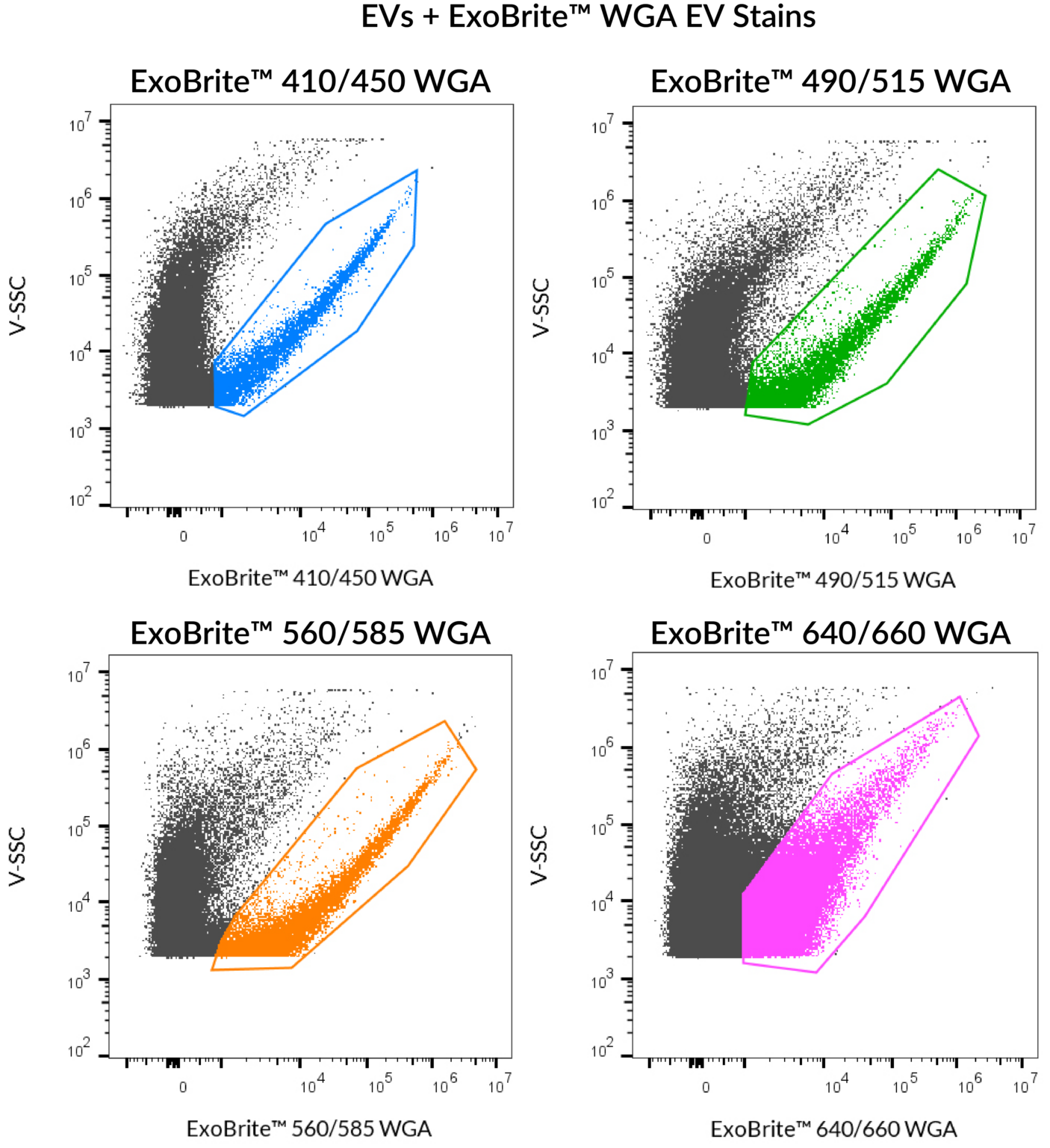 ExoBrite™ WGA EV Staining Kits - Biotium