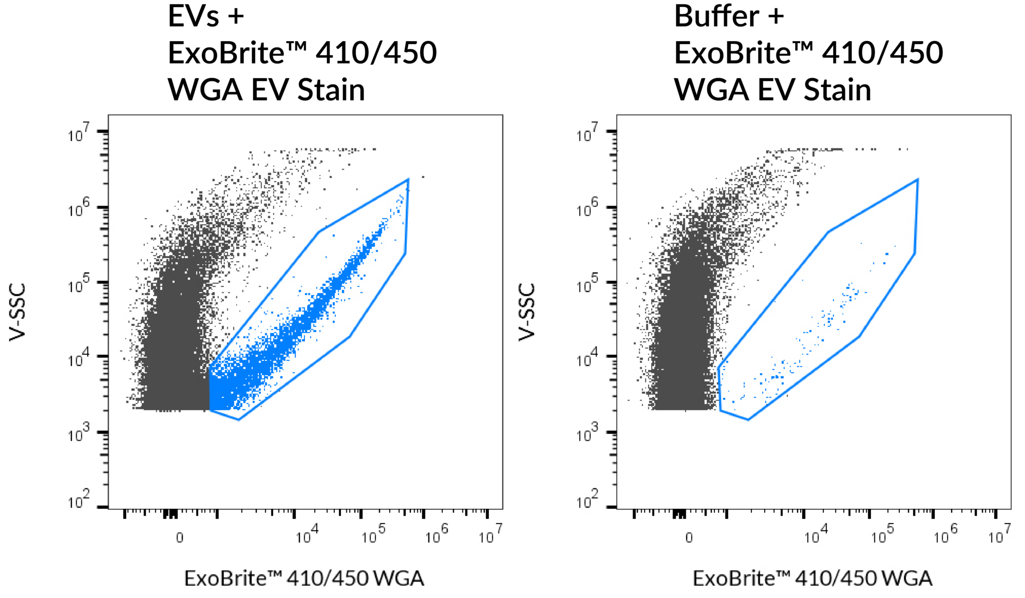 ExoBrite™ WGA EV Staining Kits - Biotium