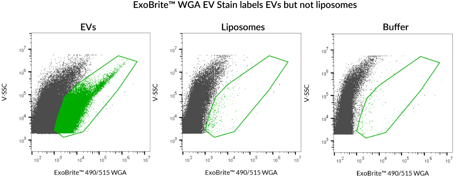 Extracellular Vesicle Research - Biotium