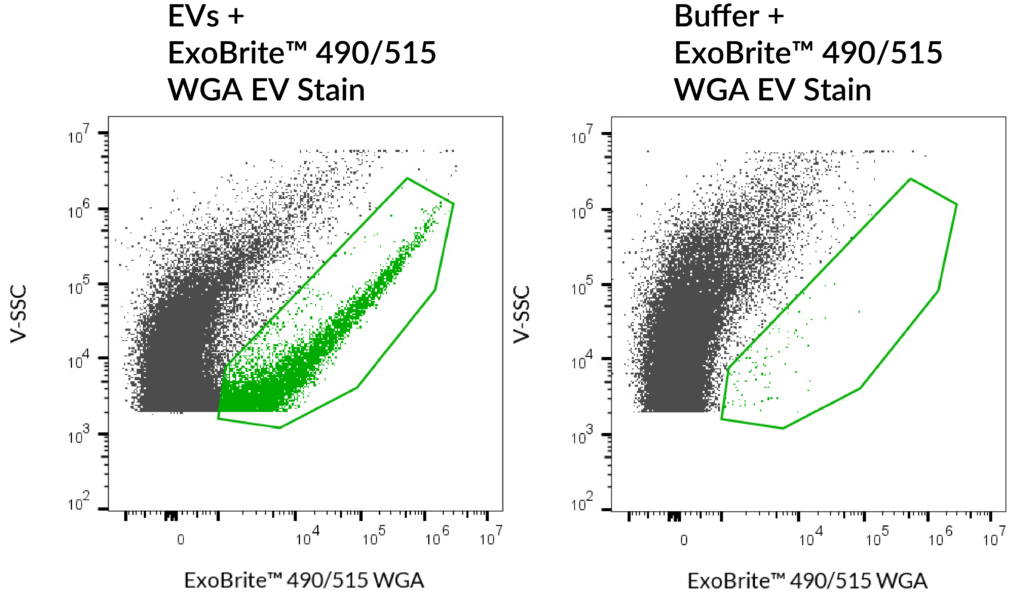 ExoBrite™ WGA EV Staining Kits - Biotium