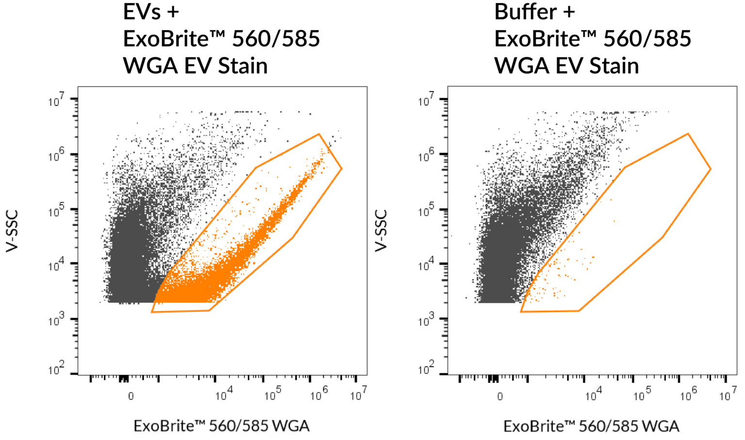 ExoBrite™ WGA EV Staining Kits - Biotium