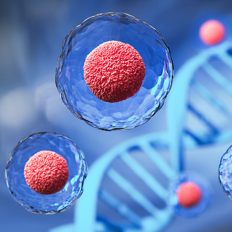 Gene regulation in progenitor cells is mediated through NUP98 and RAE1 ...