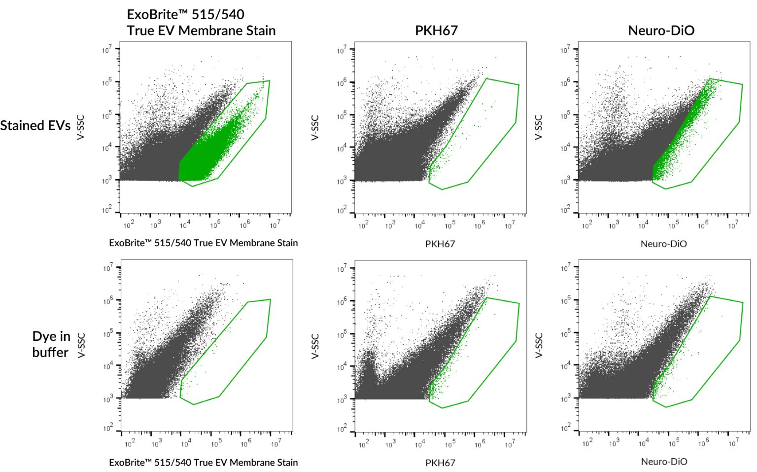 ExoBrite™ True EV Membrane Stains - Biotium