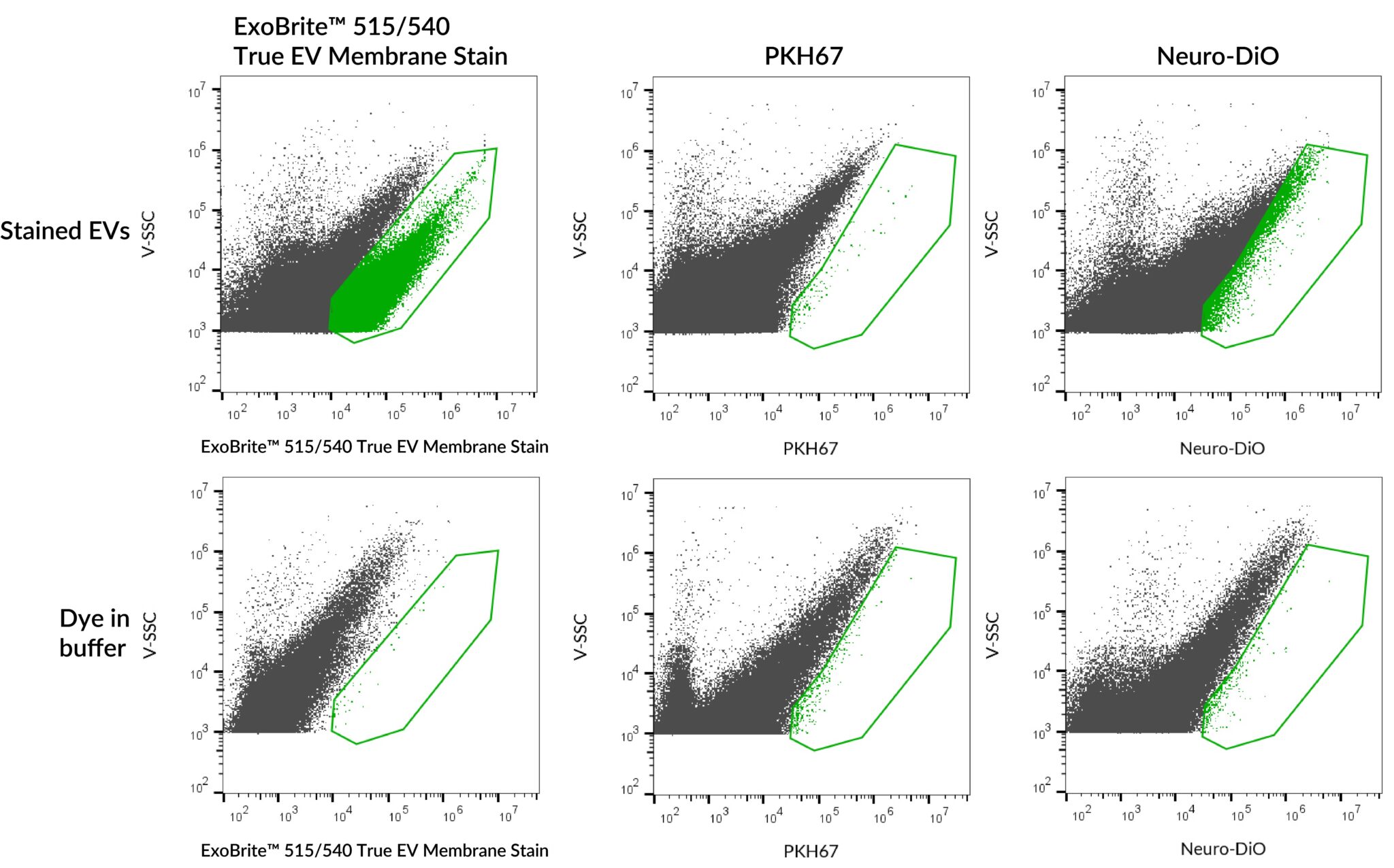 Extracellular Vesicle Research - Biotium