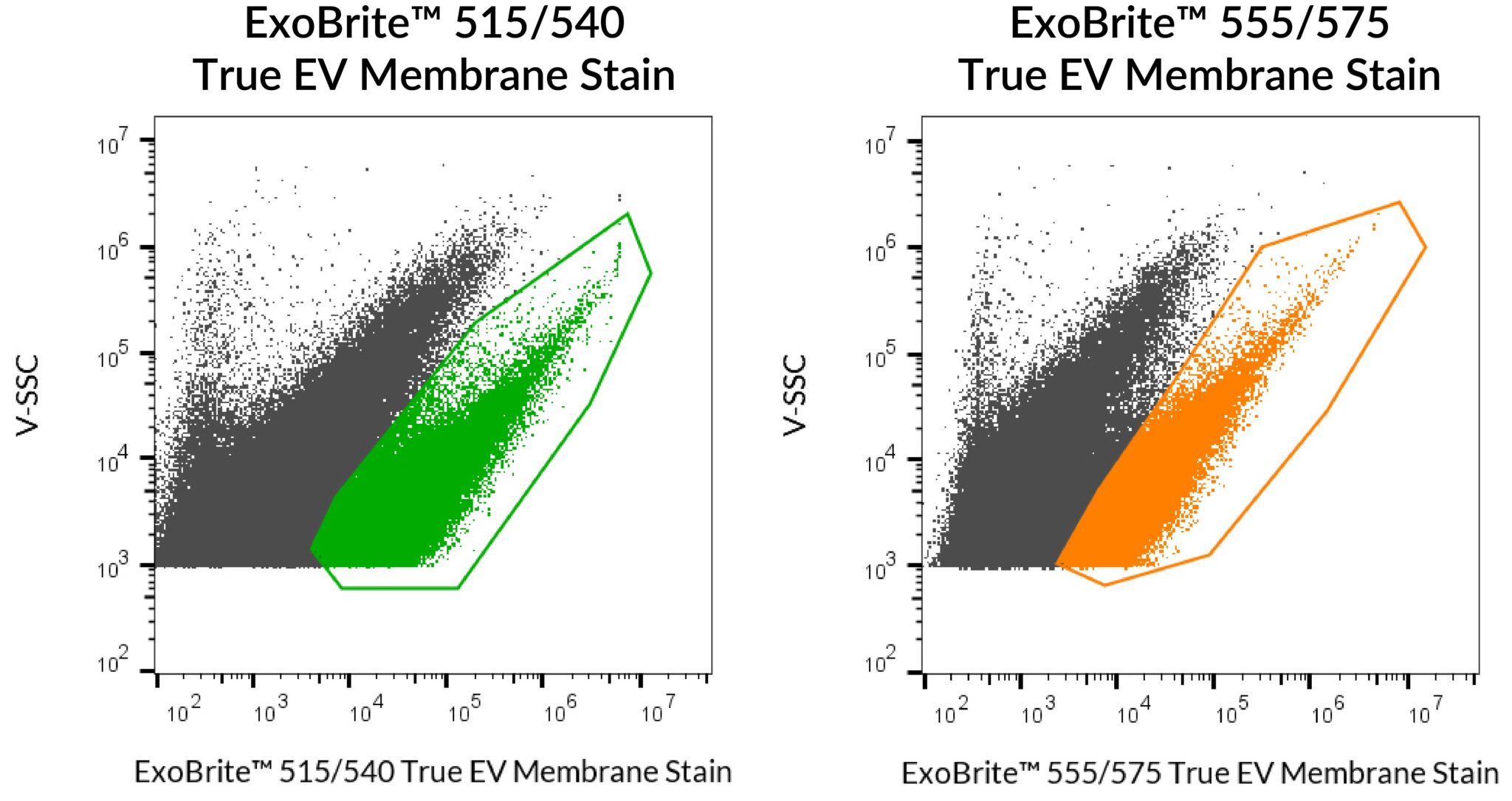 Extracellular Vesicle Research - Biotium