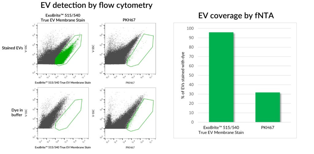 Biotium Launches Novel Membrane Dyes Designed for Superior Pan-EV ...