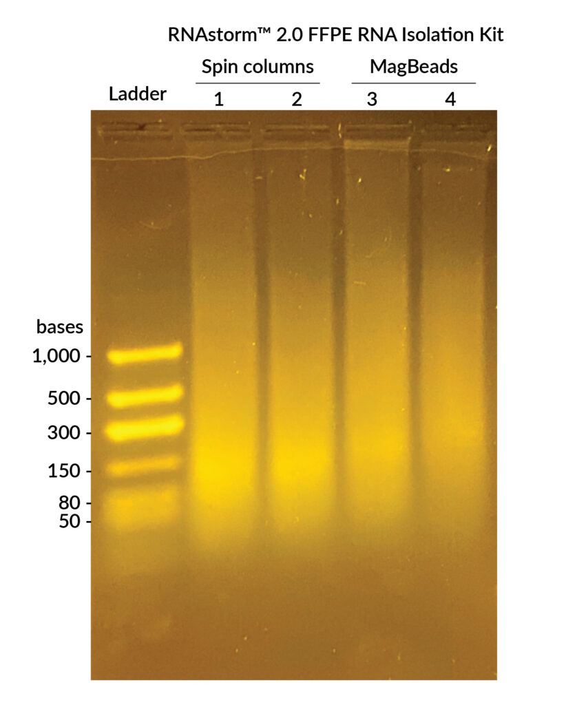 CELLDATA RNAstorm™ 2.0 MagBead FFPE RNA Extraction Kit - Biotium