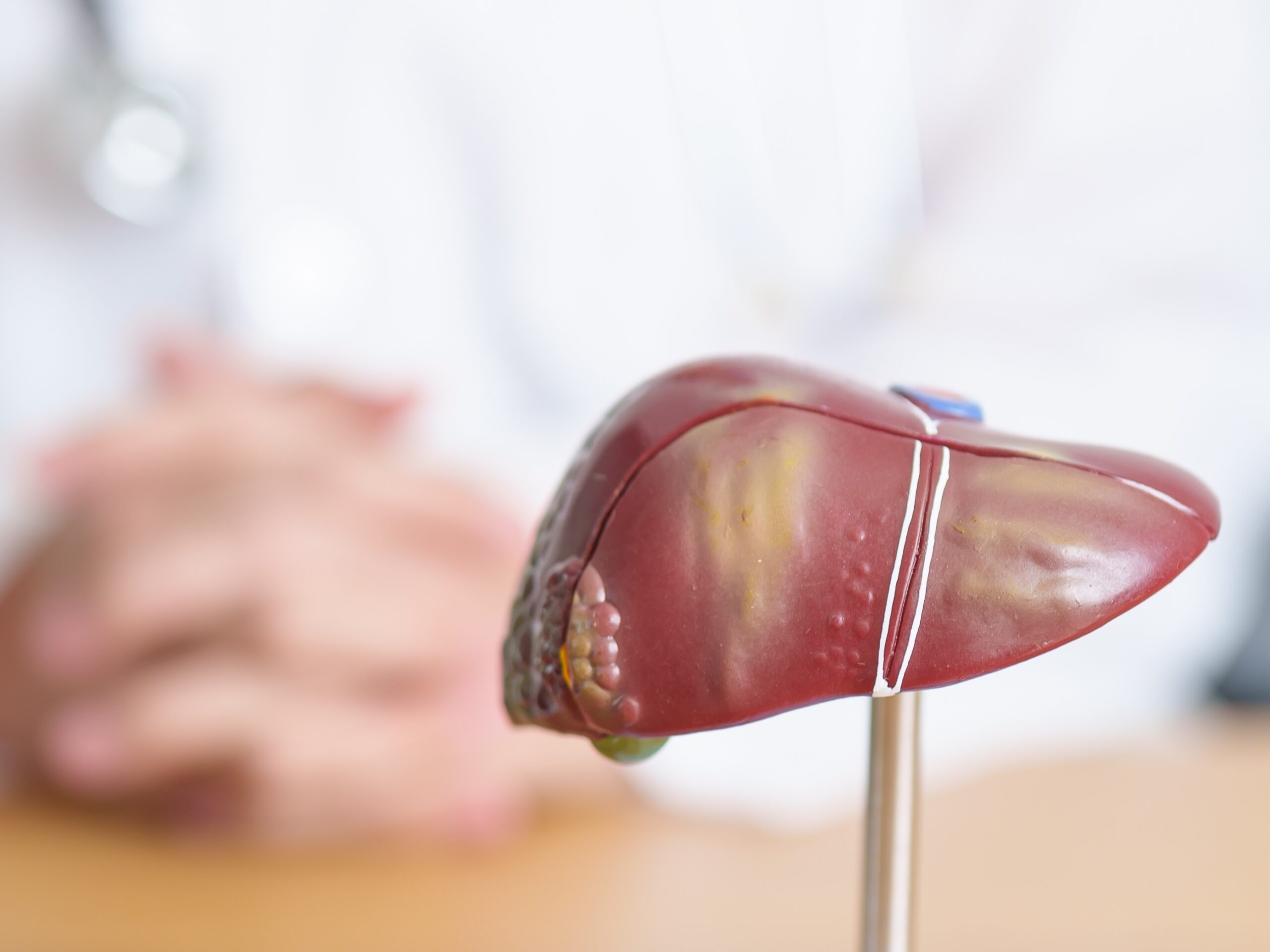 Intraocular liver spheroids for non-invasive high-resolution in vivo ...