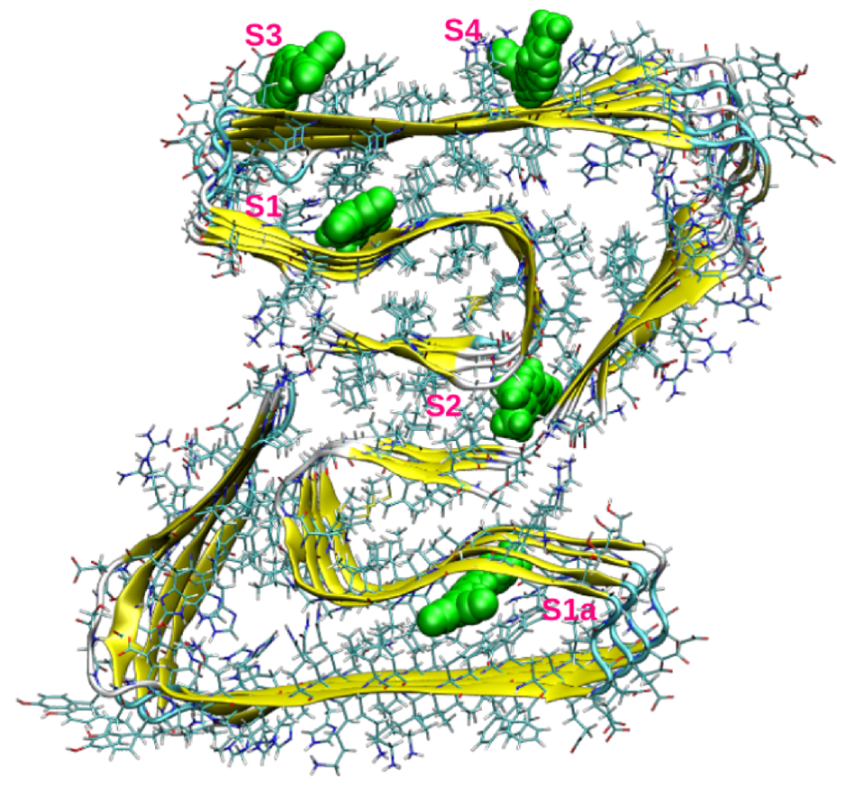 Computational Investigations into Two-Photon Fibril Imaging Using the ...