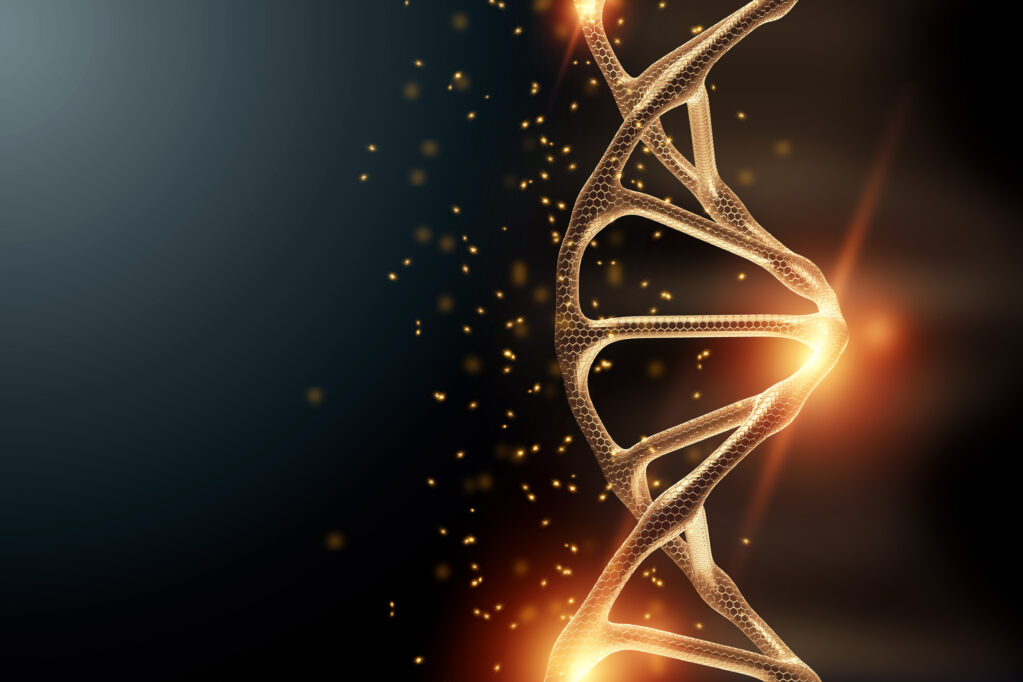 Biotium Launches Precast GelRed® Agarose Gels for More Convenient and ...