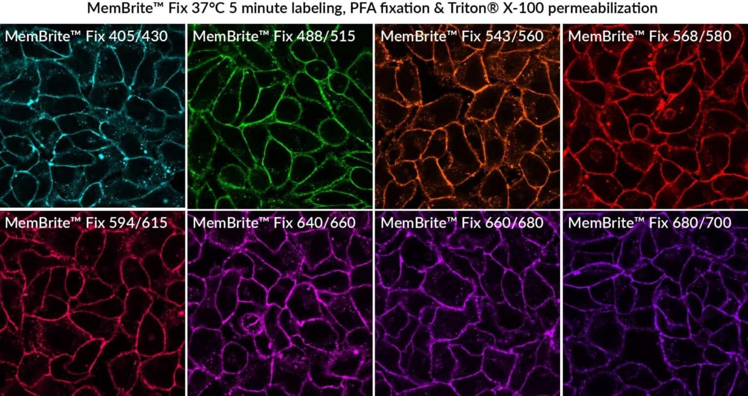 Super-Resolution Microscopy - Biotium